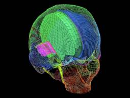 Model Based Head Injury Criteria Application to Head Injury Prediction ...
